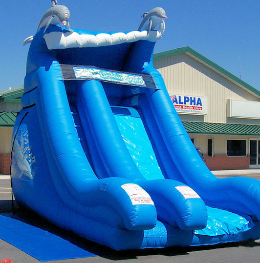 Dolphin Slide 1 – Inflatable Fun
