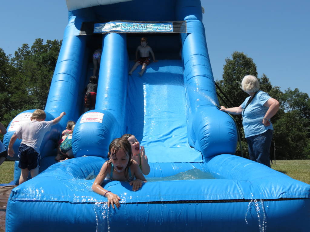 Dolphin Wave Slide – Inflatable Fun